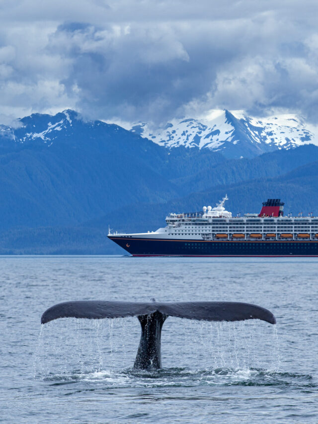 Everything You Need to Know About Boating in Alaska – BOATERS BLOG